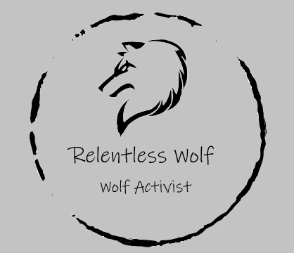 The Role That Wolves Play – Relentless Wolf